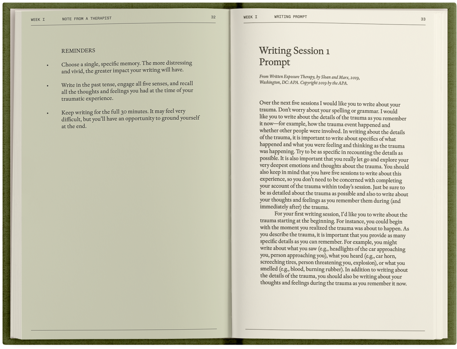 The After-Trauma Notebook