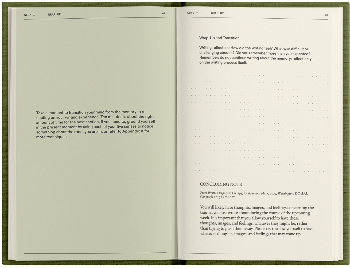 The After-Trauma Notebook