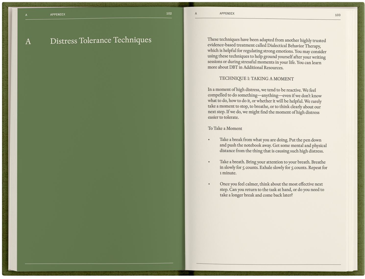 The After-Trauma Notebook